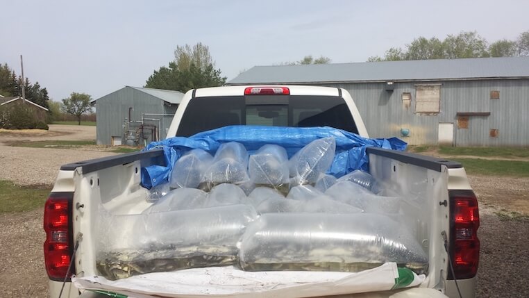 Transporting your Fish – Store